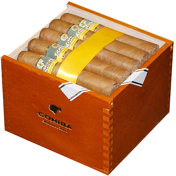 COHIBA ROBUSTOS 25 Cigars | Promo Cigar